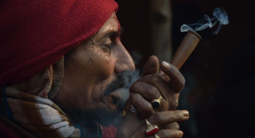 Global spotlight: The future of cannabis in India | Dopamine